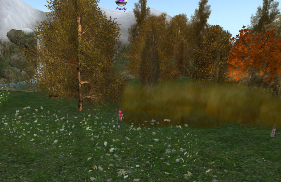 Build a Virtual Biome to Master Science Standards | Gridjumper's Blog